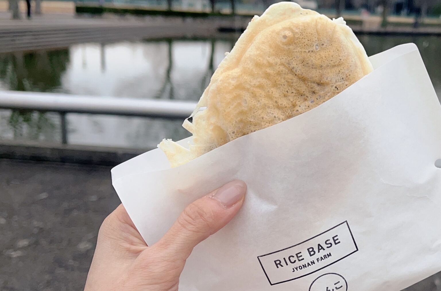 【RICE BASE】米粉たい焼きのキッチンカー！！モチモチ生地の絶品たい焼きが味わえます！